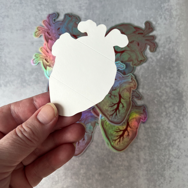 Anatomical Human Heart Vinyl Sticker - The Lab Partners Jewelry